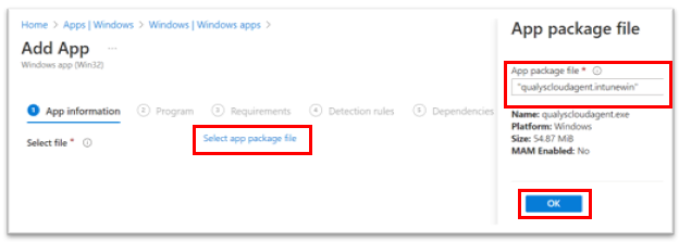 Agent Setup for Microsoft Windows