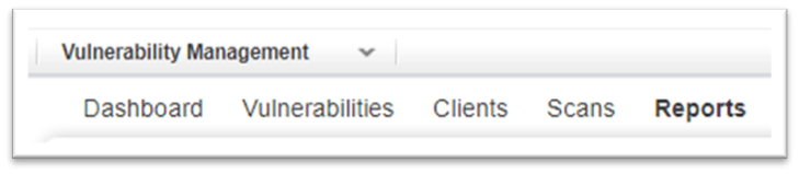 Qualys CE+ Report Creation